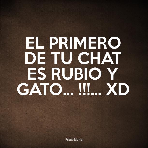 Cartel para: el primero de tu chat es rubio y gato... !!!... XD