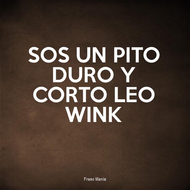 Cartel para: sos un pito duro y corto LEO WINK
