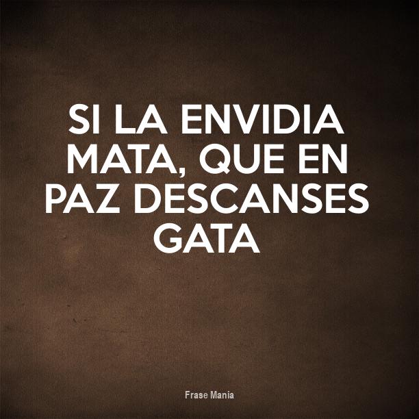 Cartel para: si la envidia mata, que en paz descanses gata