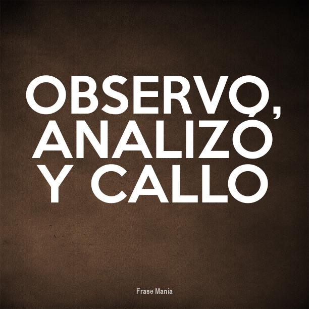 Cartel para: Observo, analizó y callo