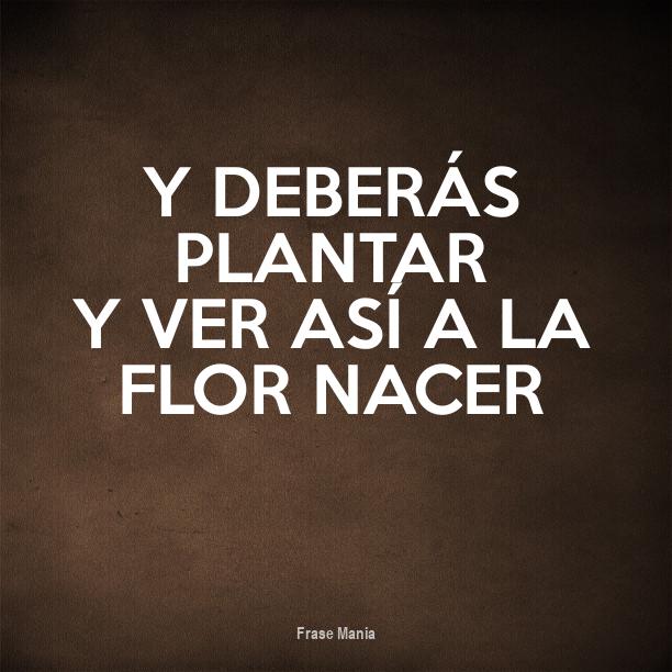Cartel para: Y deberás plantar Y ver así a la flor nacer