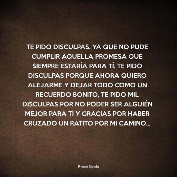 Cartel para: Te pido disculpas, ya que no pude cumplir aquella promesa ...