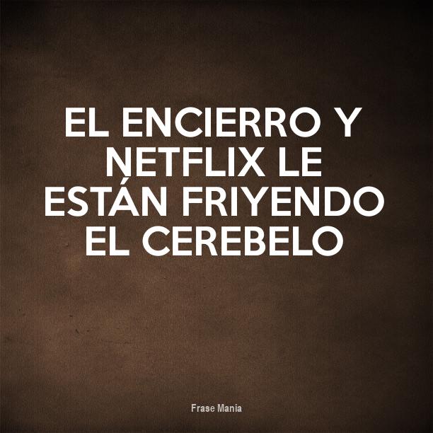 Cartel para: El encierro y Netflix le están friyendo el cerebelo