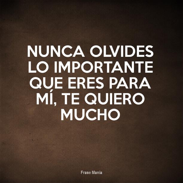Cartel para: Nunca olvides lo importante que eres para mí, te quiero mucho